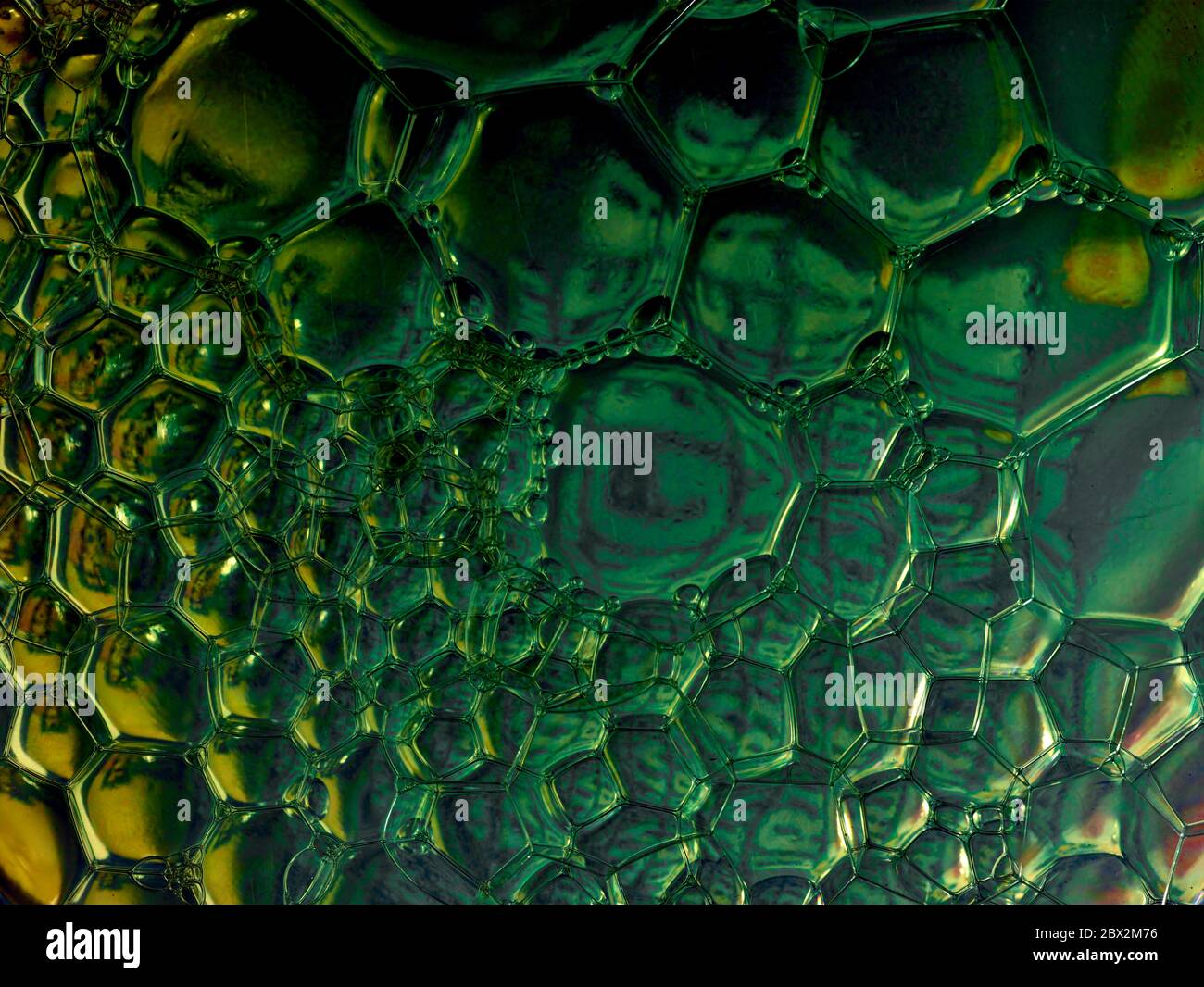 Colourful bubbles still=life symbolising the myriad patterns of human ...