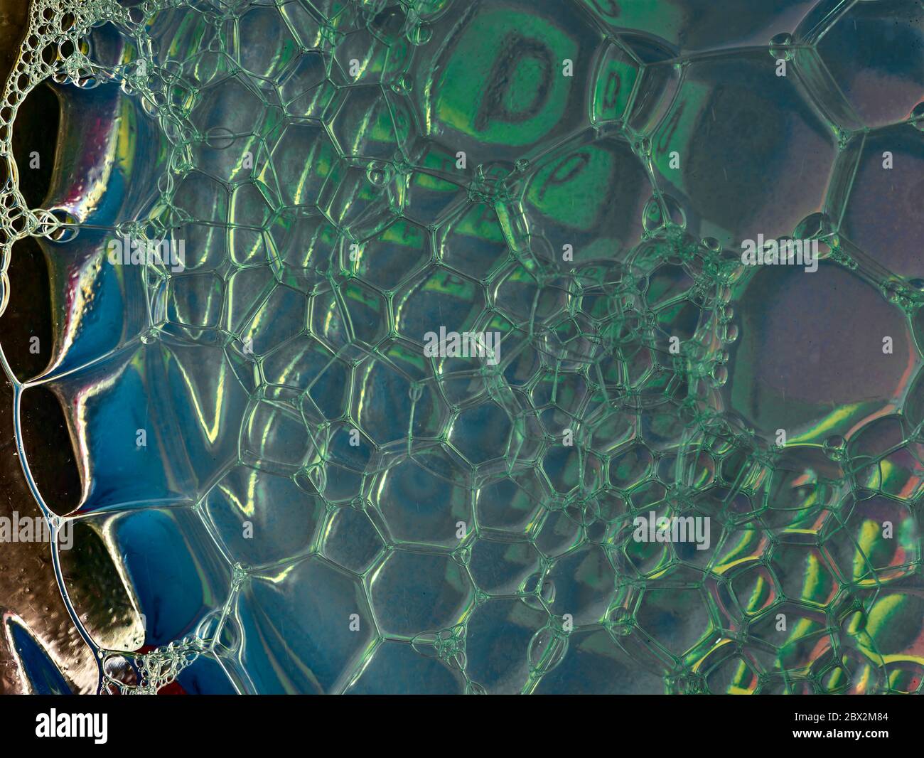 Colourful bubbles still=life symbolising the myriad patterns of human ...