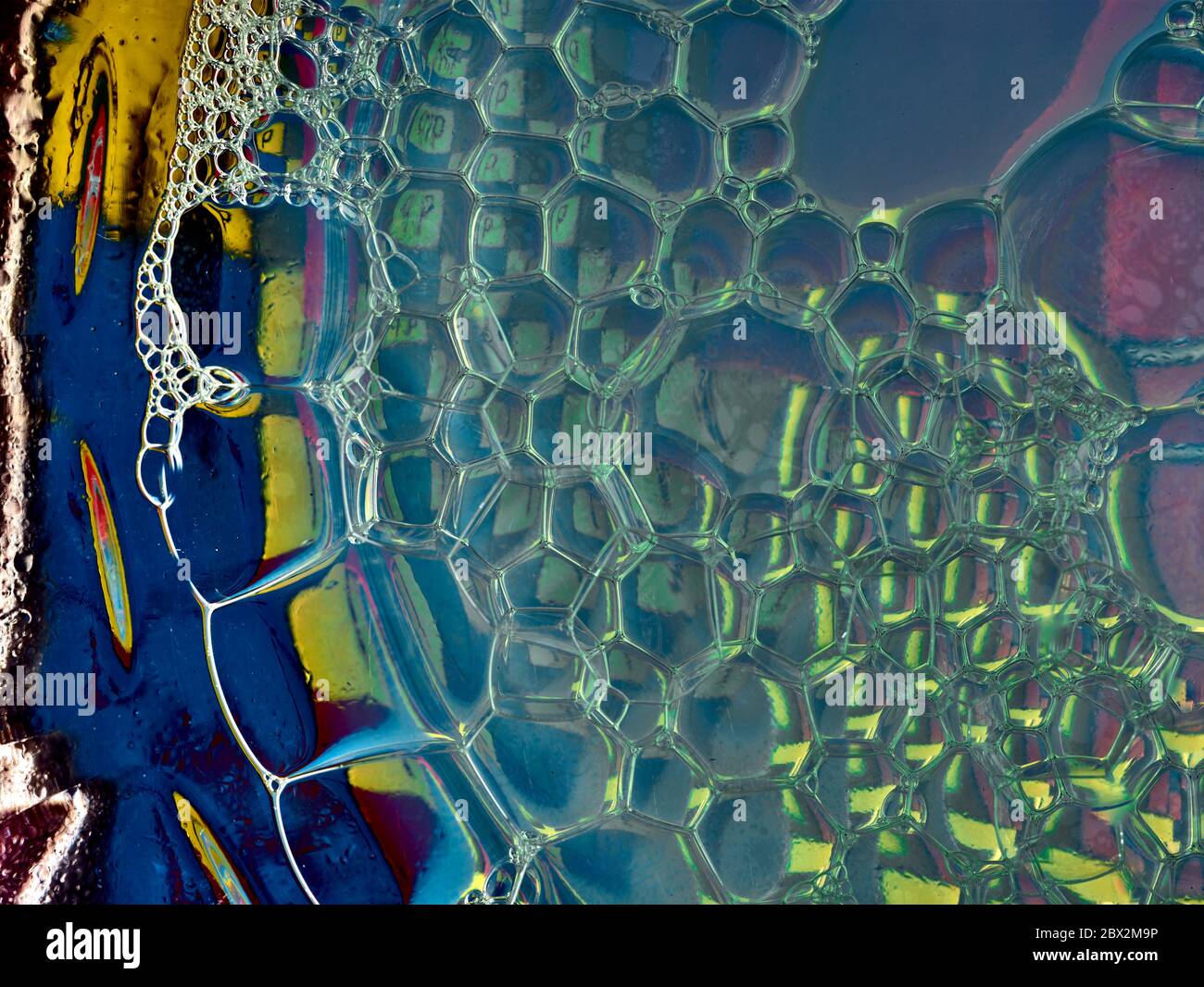 Colourful bubbles still=life symbolising the myriad patterns of human ...