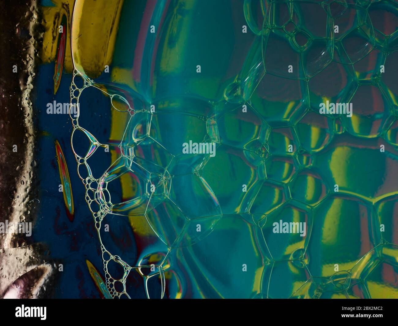 Colourful bubbles still=life symbolising the myriad patterns of human ...