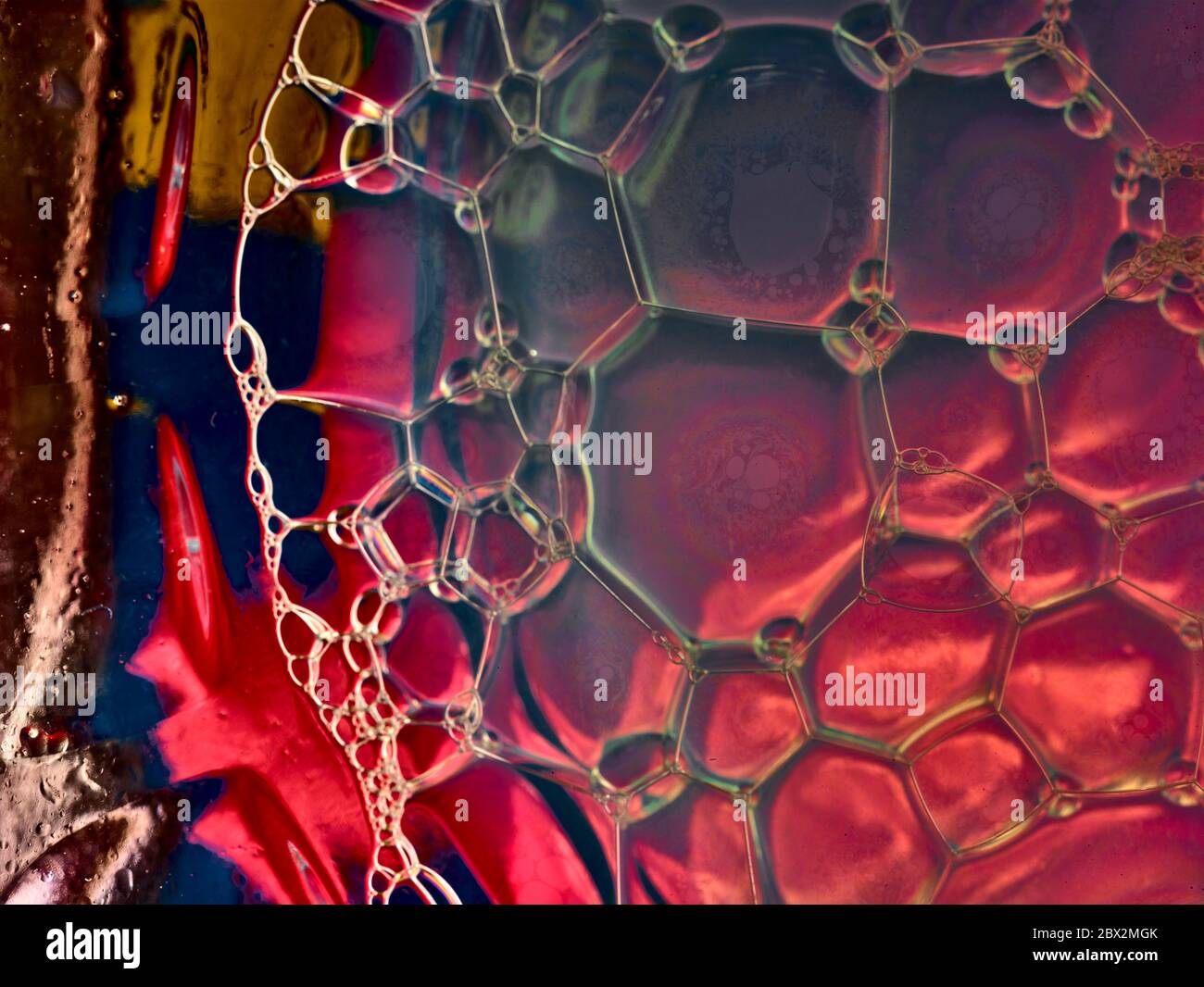 Colourful bubbles still=life symbolising the myriad patterns of human ...