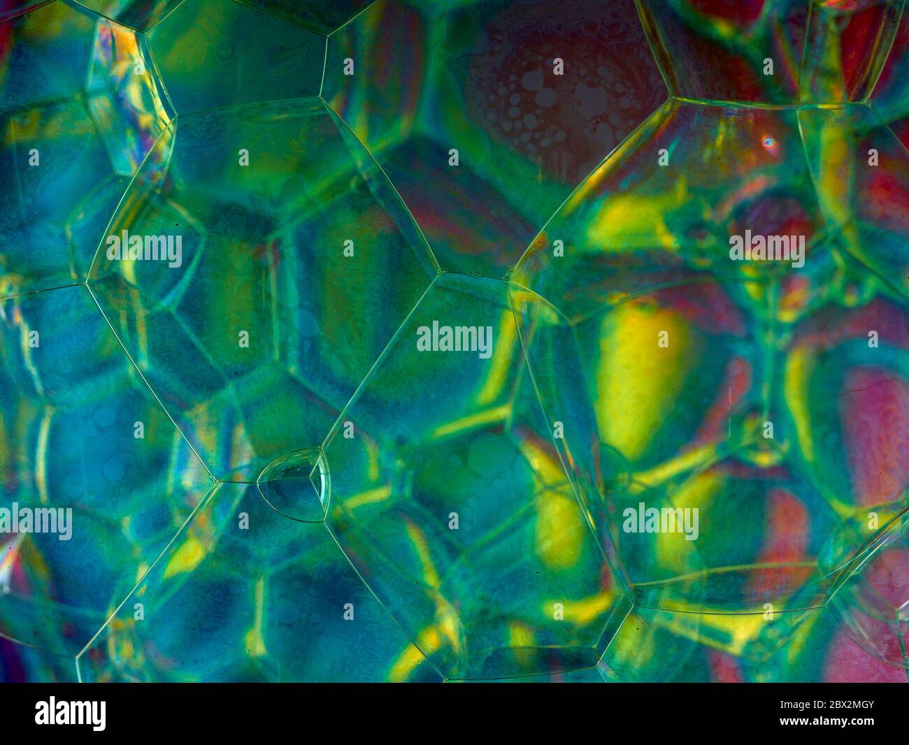 Colourful bubbles still=life symbolising the myriad patterns of human ...