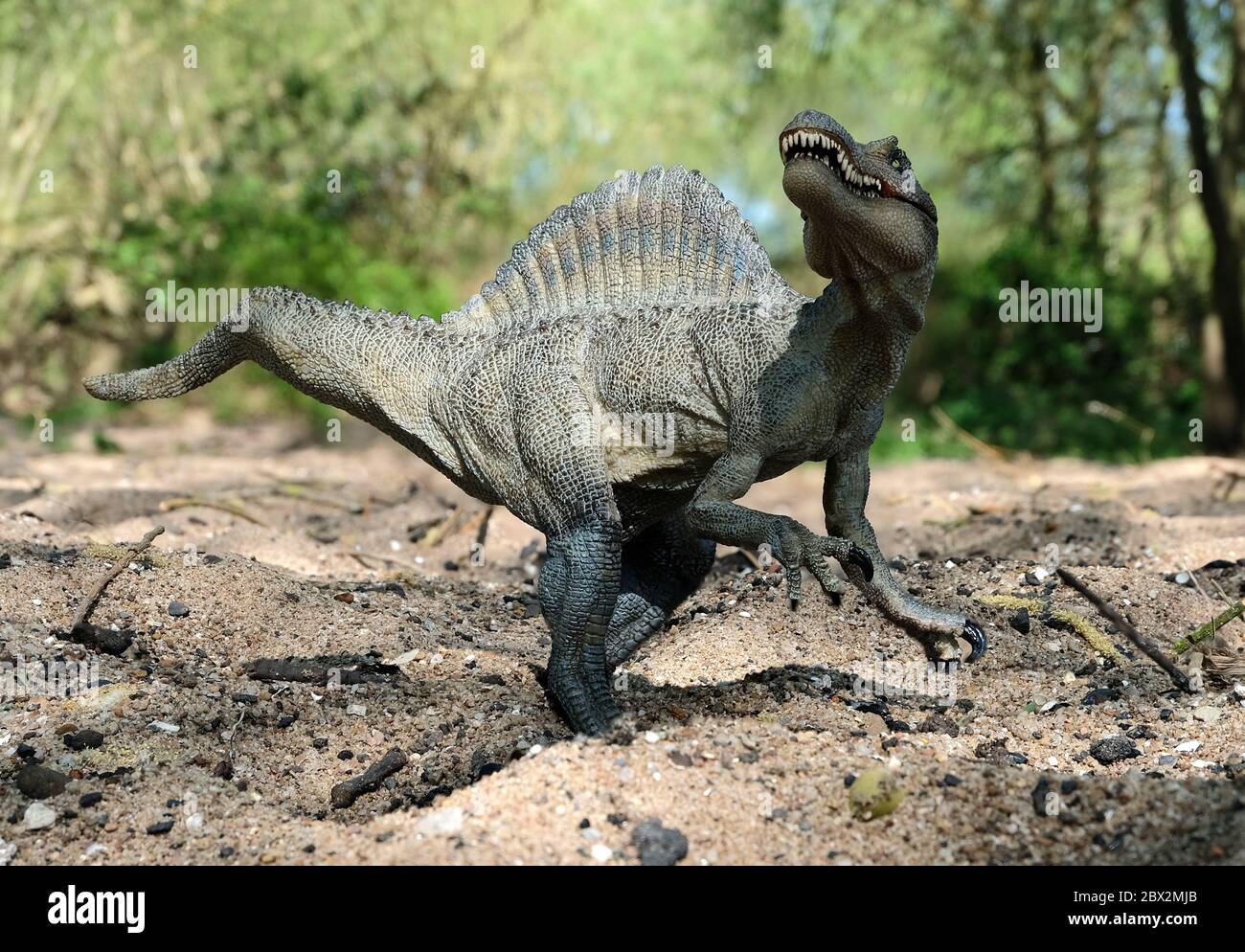 Spinosaurus model hi-res stock photography and images - Alamy