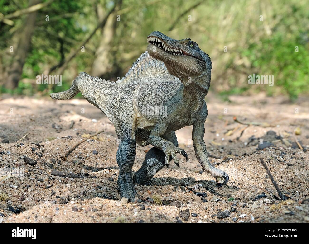 Spinosaurus dinosaur model toy in a natural setting Stock Photo - Alamy