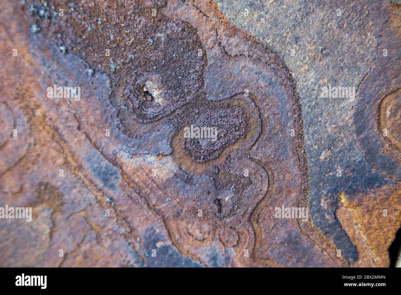 Stone corrosion hi-res stock photography and images - Alamy