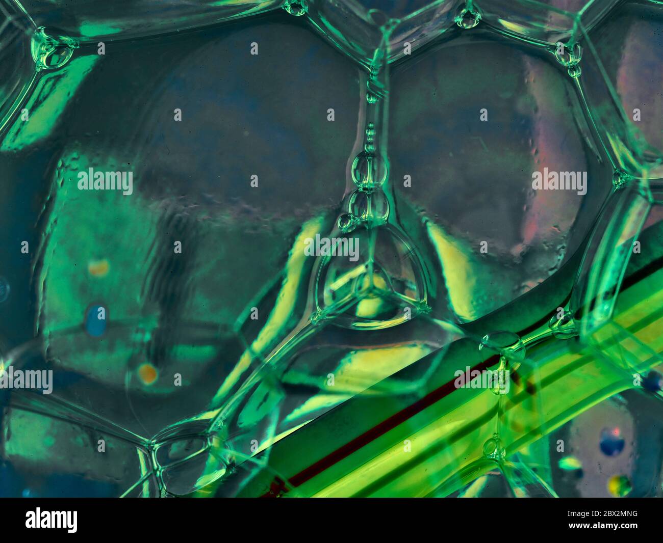 Colourful bubbles still=life symbolising the myriad patterns of human ...