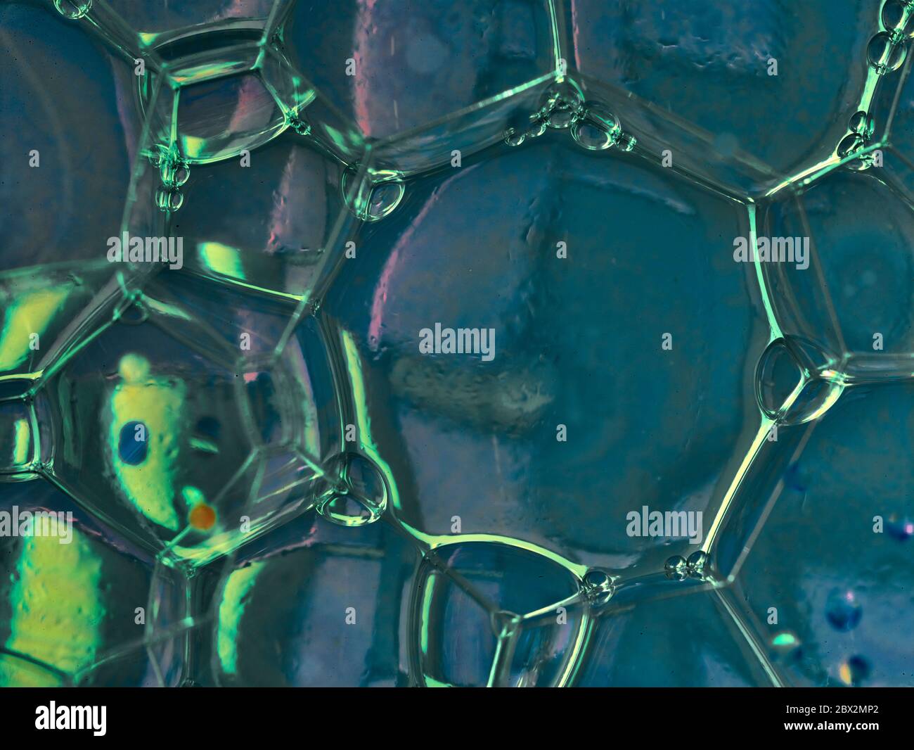 Colourful bubbles still=life symbolising the myriad patterns of human ...