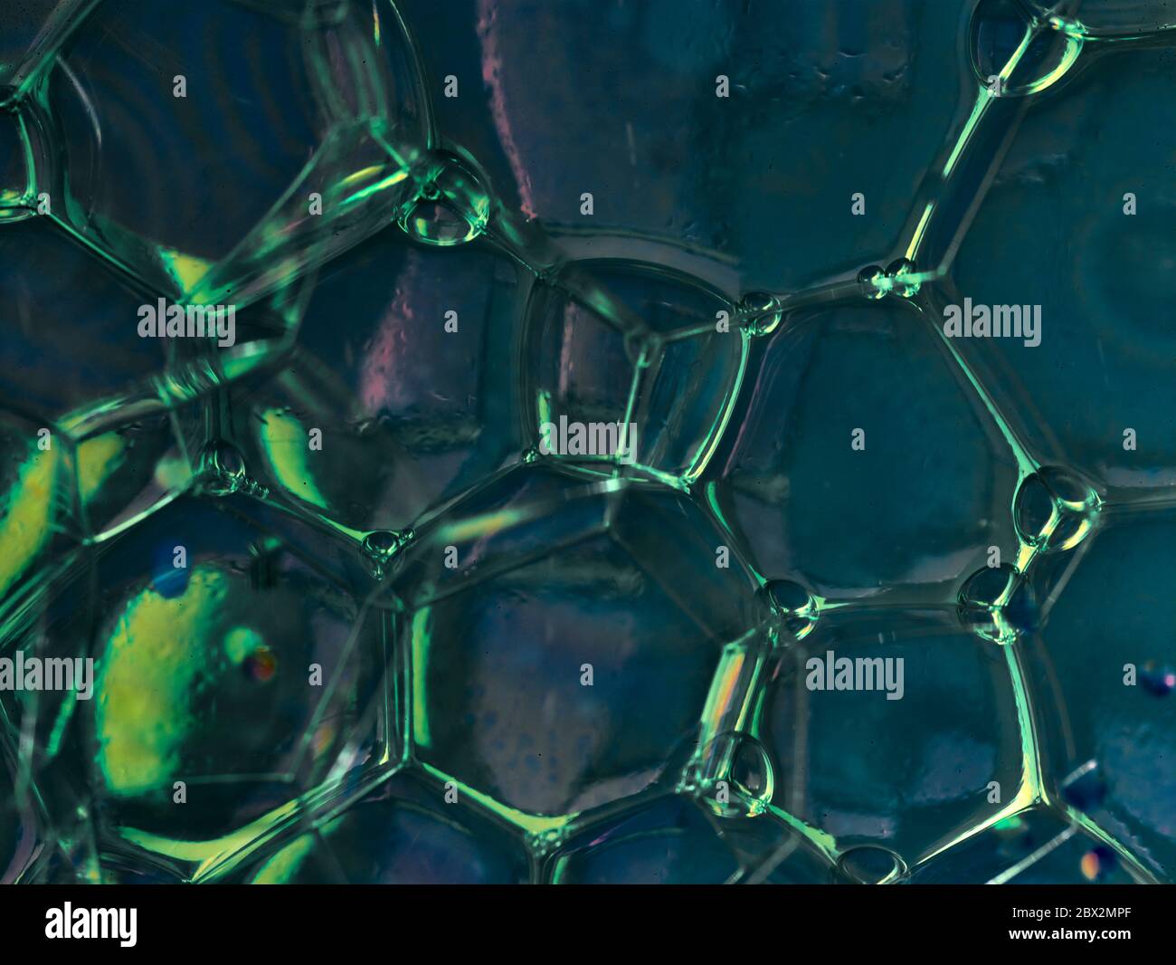 Colourful bubbles still=life symbolising the myriad patterns of human ...