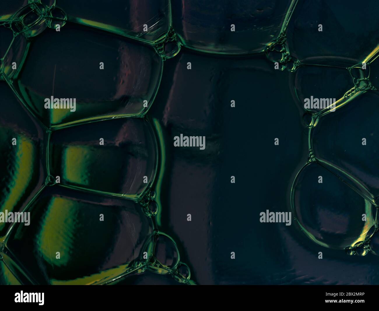 Colourful bubbles still=life symbolising the myriad patterns of human ...