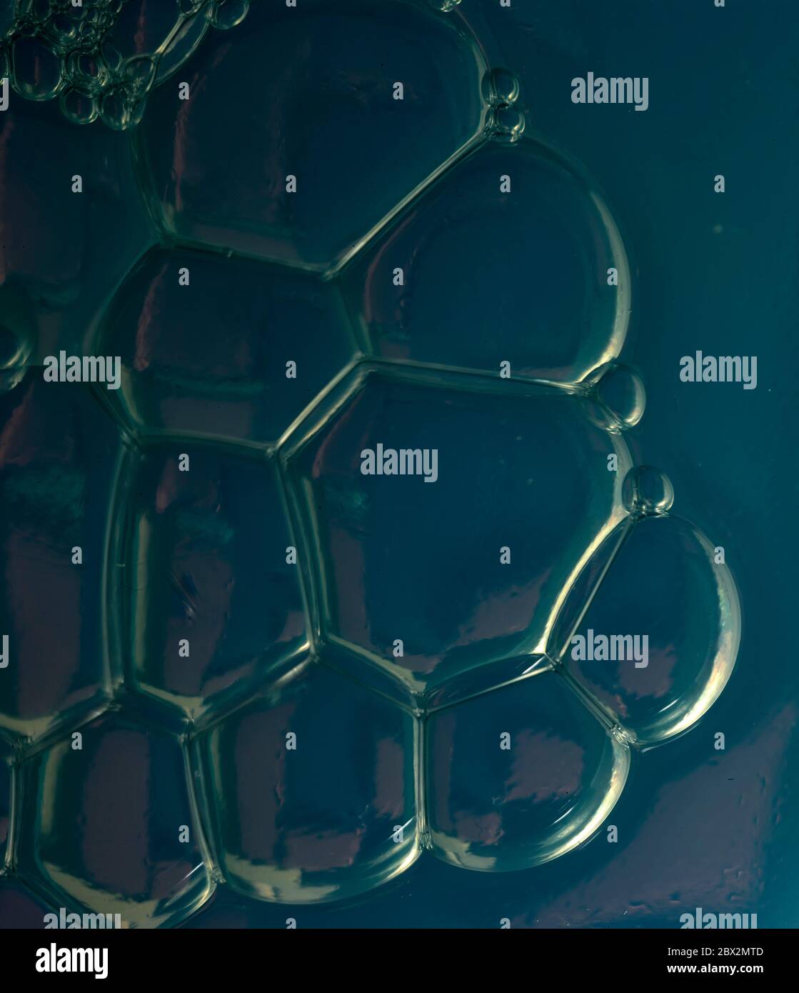 Colourful bubbles still=life symbolising the myriad patterns of human ...