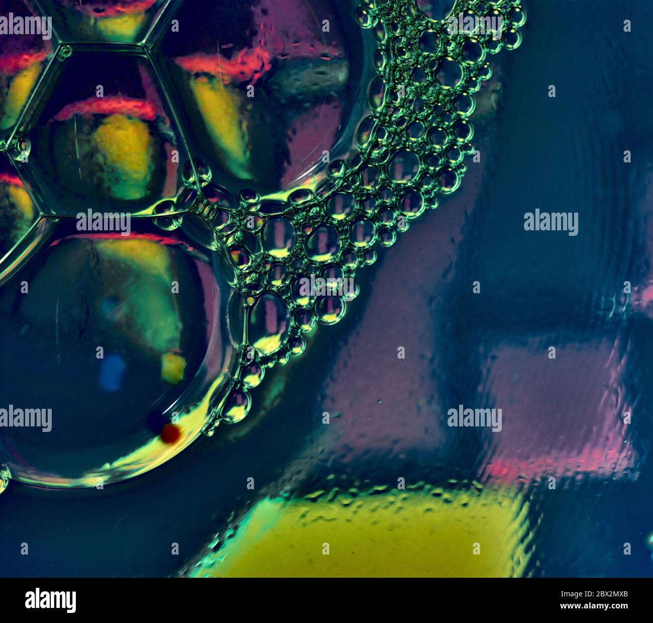 Colourful bubbles still=life symbolising the myriad patterns of human ...