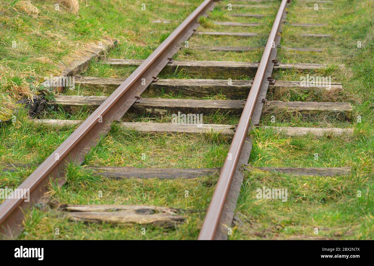 Rail track embeded in green grass with wooden planks Stock Photo - Alamy