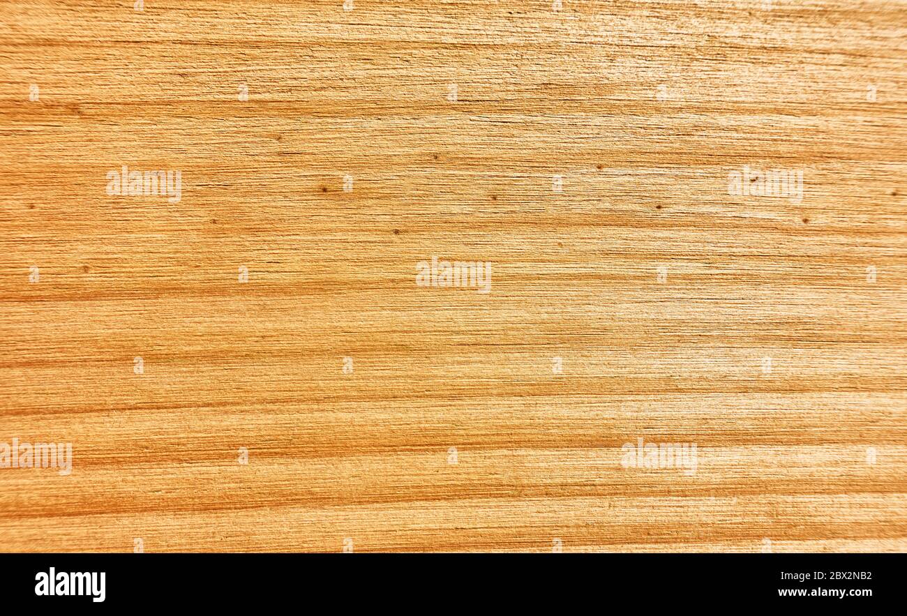 Fresh wooden texture with smooth surface - background Stock Photo - Alamy