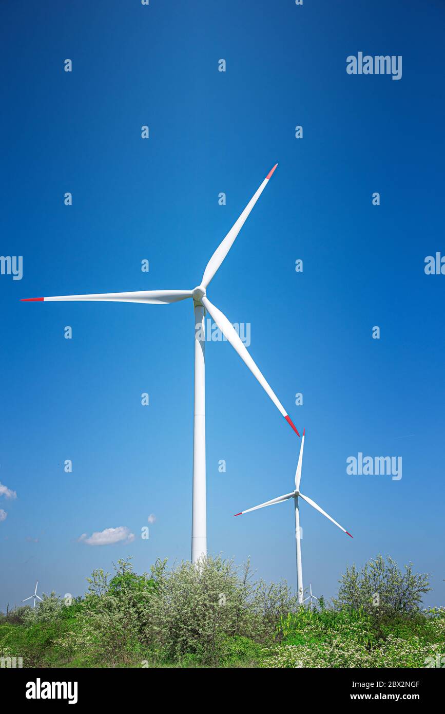 Wind farm in the field Stock Photo - Alamy
