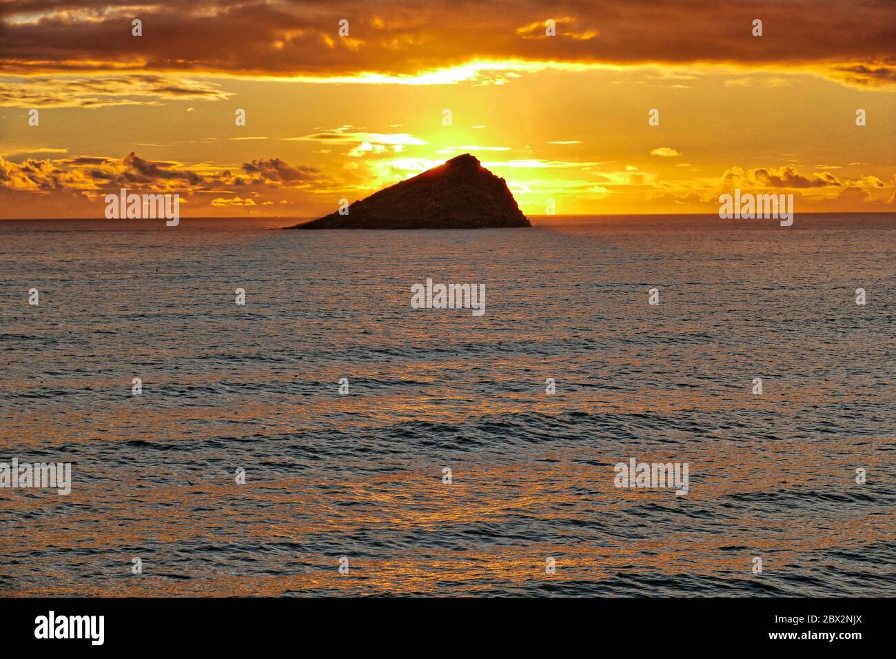 Mewstone hi-res stock photography and images - Alamy