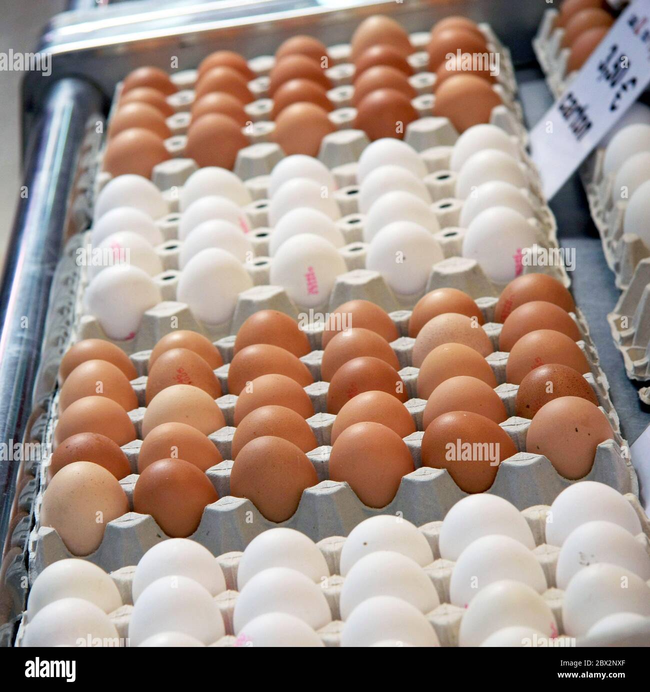 Eggs in trays hi-res stock photography and images - Alamy