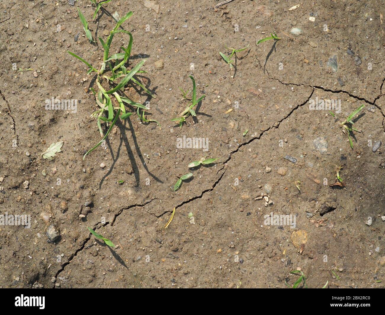 dry soil earth due to drought and climate change Stock Photo - Alamy