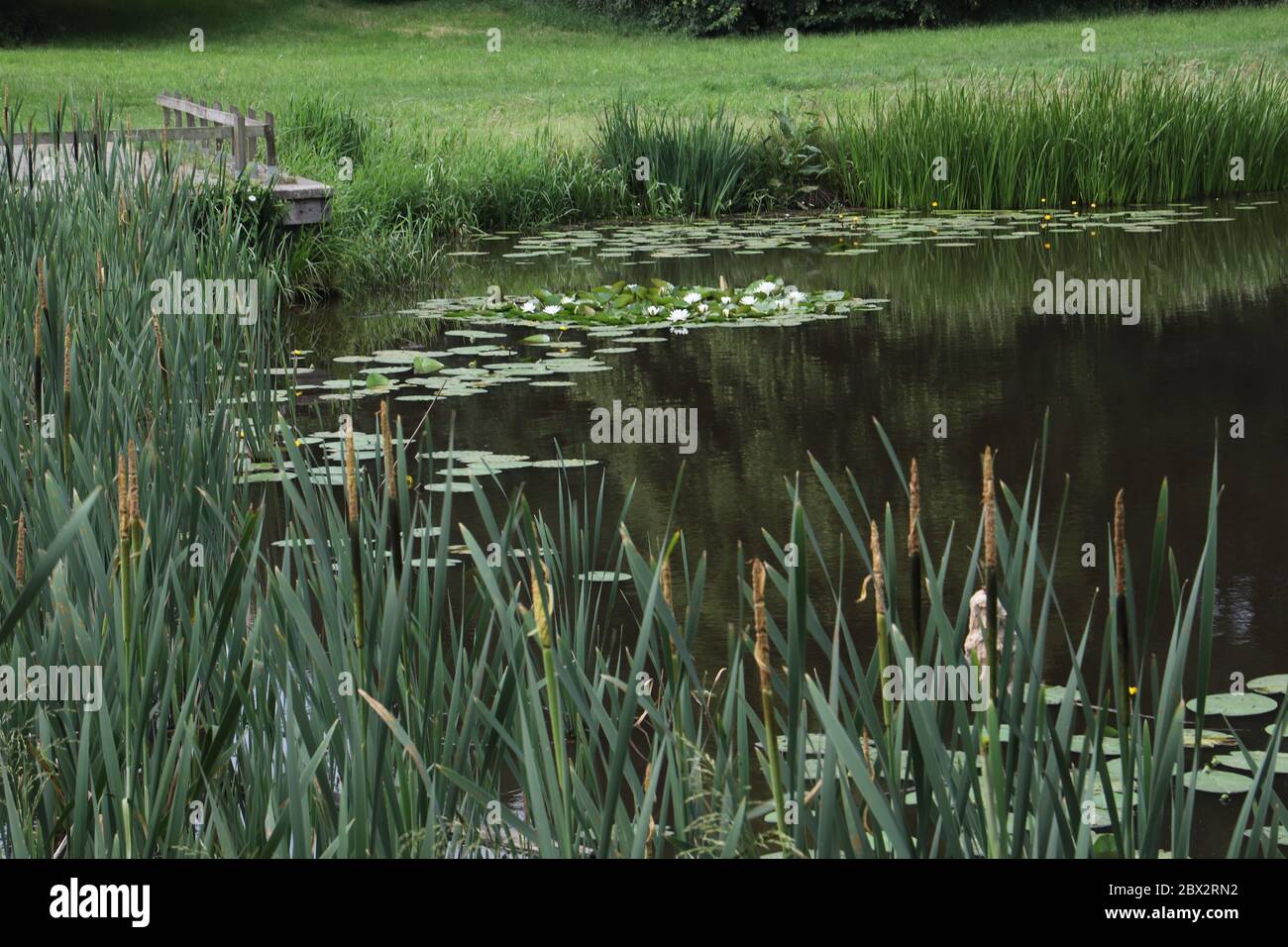Drenthe shot hi-res stock photography and images - Alamy