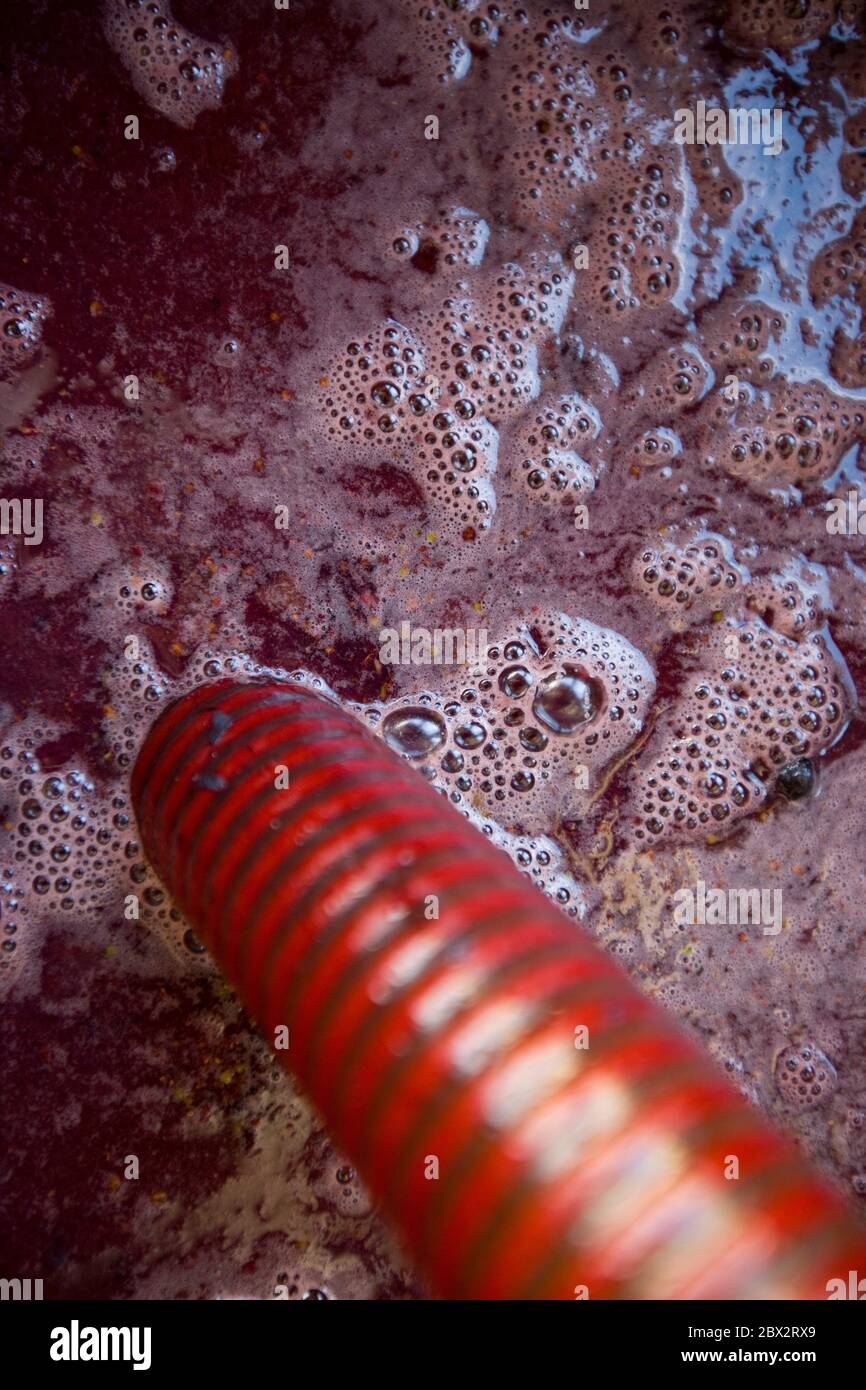 Pomerol bordeaux gironde france hi-res stock photography and images - Alamy