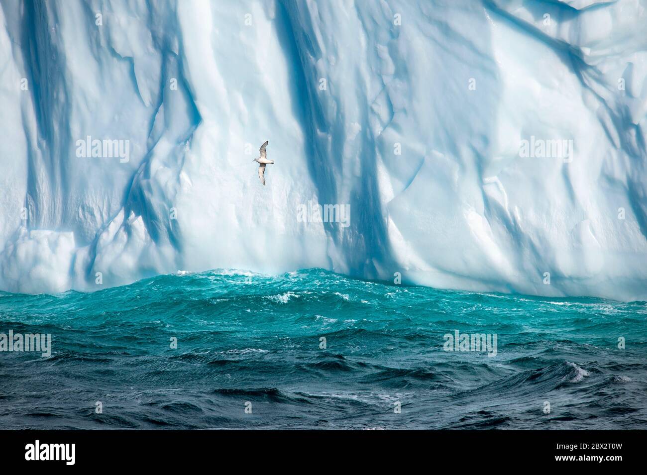 Antarctica, Southern Ocean, Antarctic Peninsula, Graham Land, Flight of ...