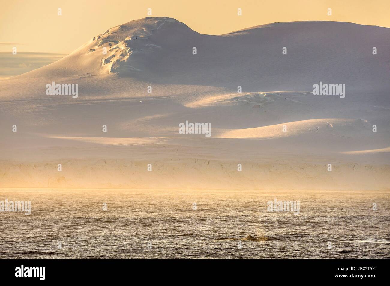Antarctica, Southern Ocean, navigation between the archipelago of the ...