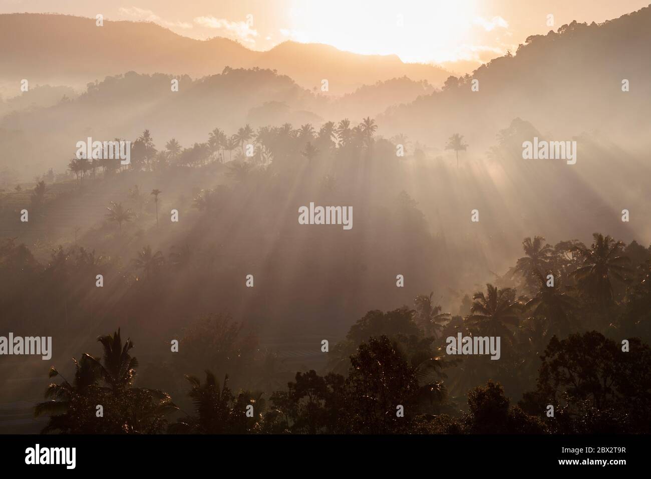 Indonesia, Bali, East, Sidemen, Patal Kikian hotel terrace, sunrise and ...