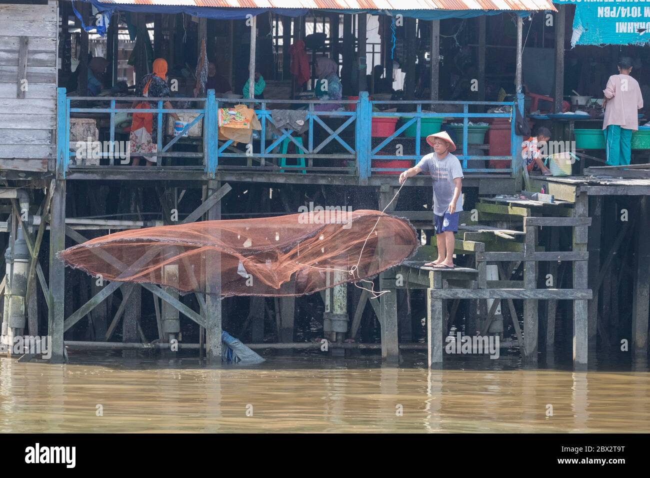Indonesia, Borneo, Kalimantan, City of Kumai, hawk fishing Stock Photo ...