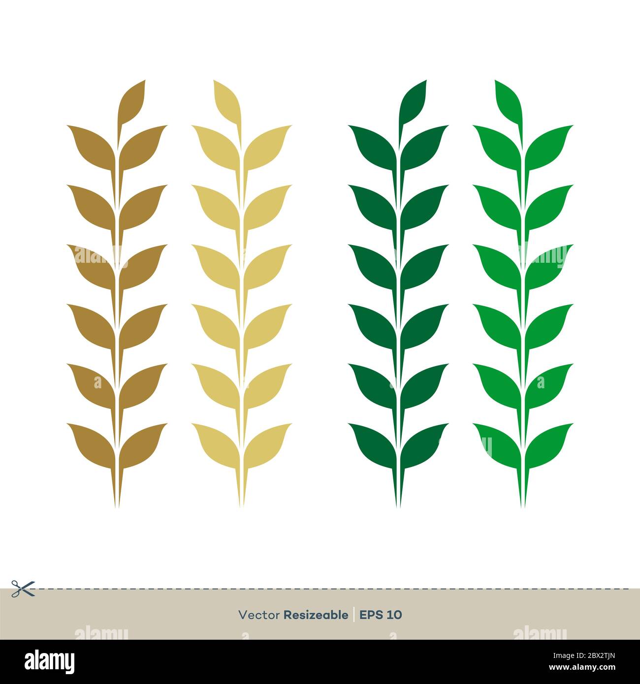 Wheat Leaf High Resolution Stock Photography and Images - Alamy
