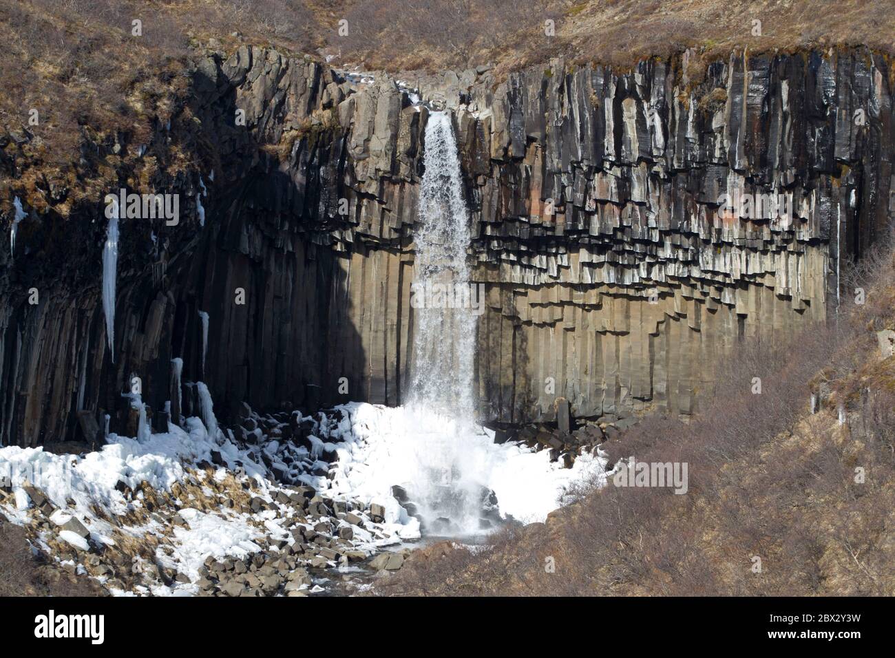 Iceland, Sudurland region, Skaftafell National Park, basalt organs and ...