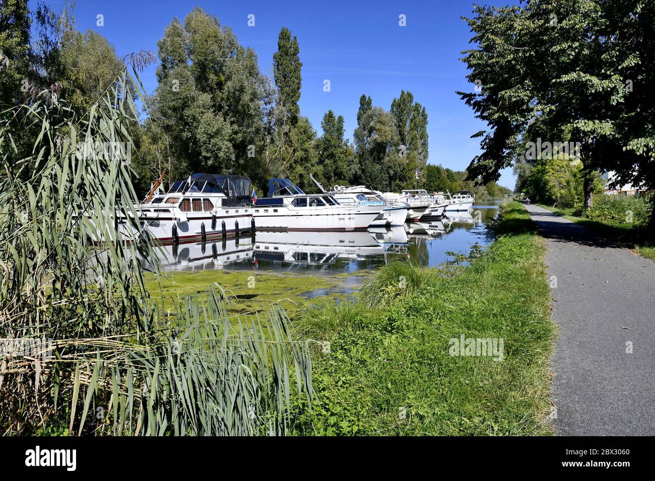 Rhine rhone canal hi-res stock photography and images - Alamy