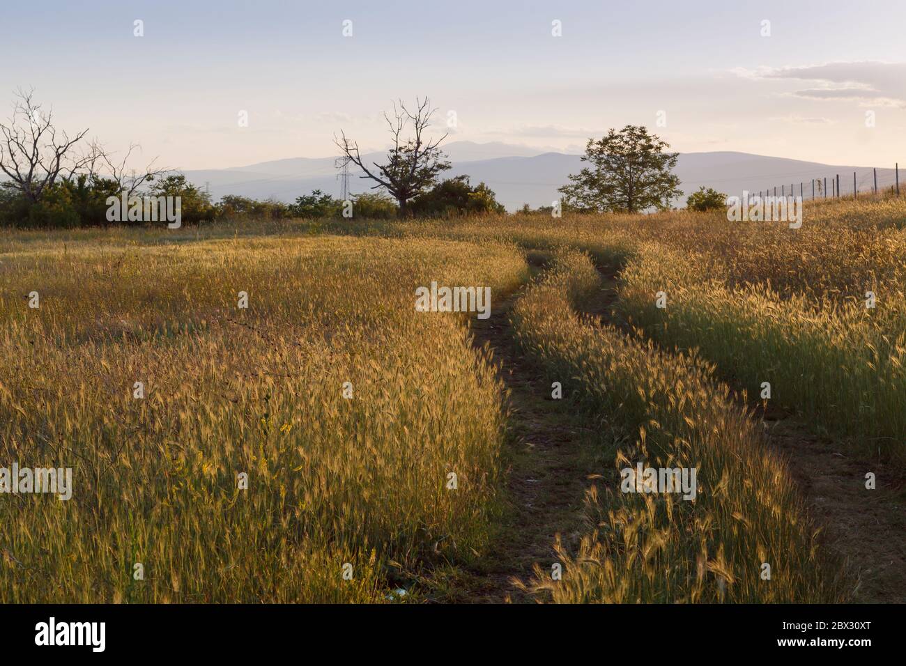 Dirt Road Turning to The Left Stock Photo - Alamy