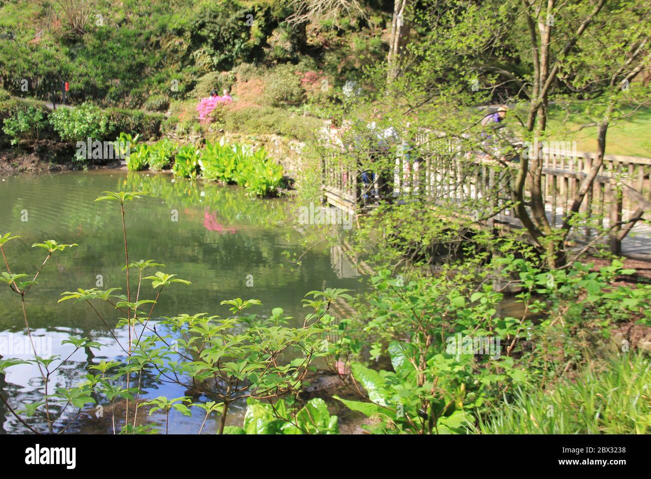 Bodnant Garden in Wales, United Kingdom Stock Photo - Alamy