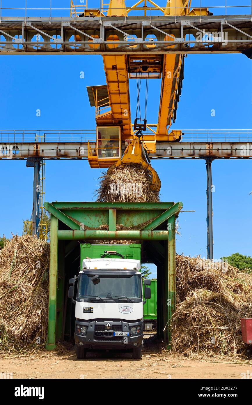Truck loaded sugar cane in hi-res stock photography and images - Alamy
