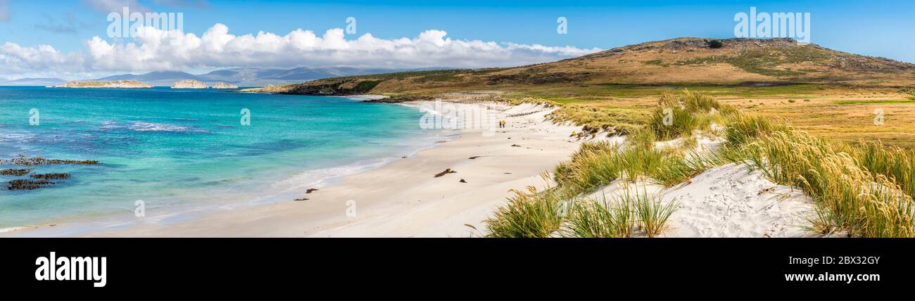 Falkland Islands, panoramic view of a white sand beach on Carcass ...
