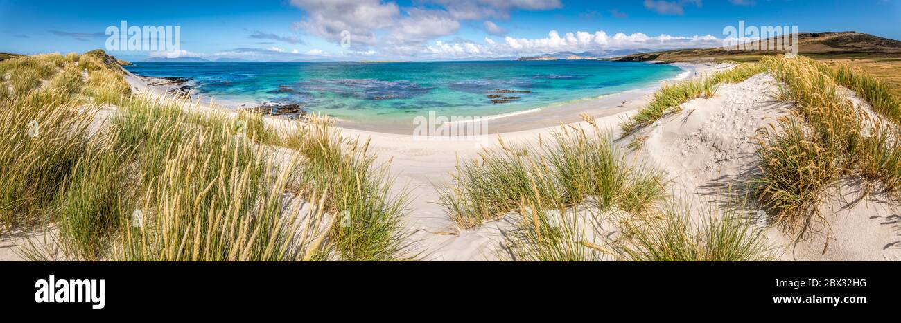 Falkland Islands, panoramic view of a white sand beach on Carcass ...