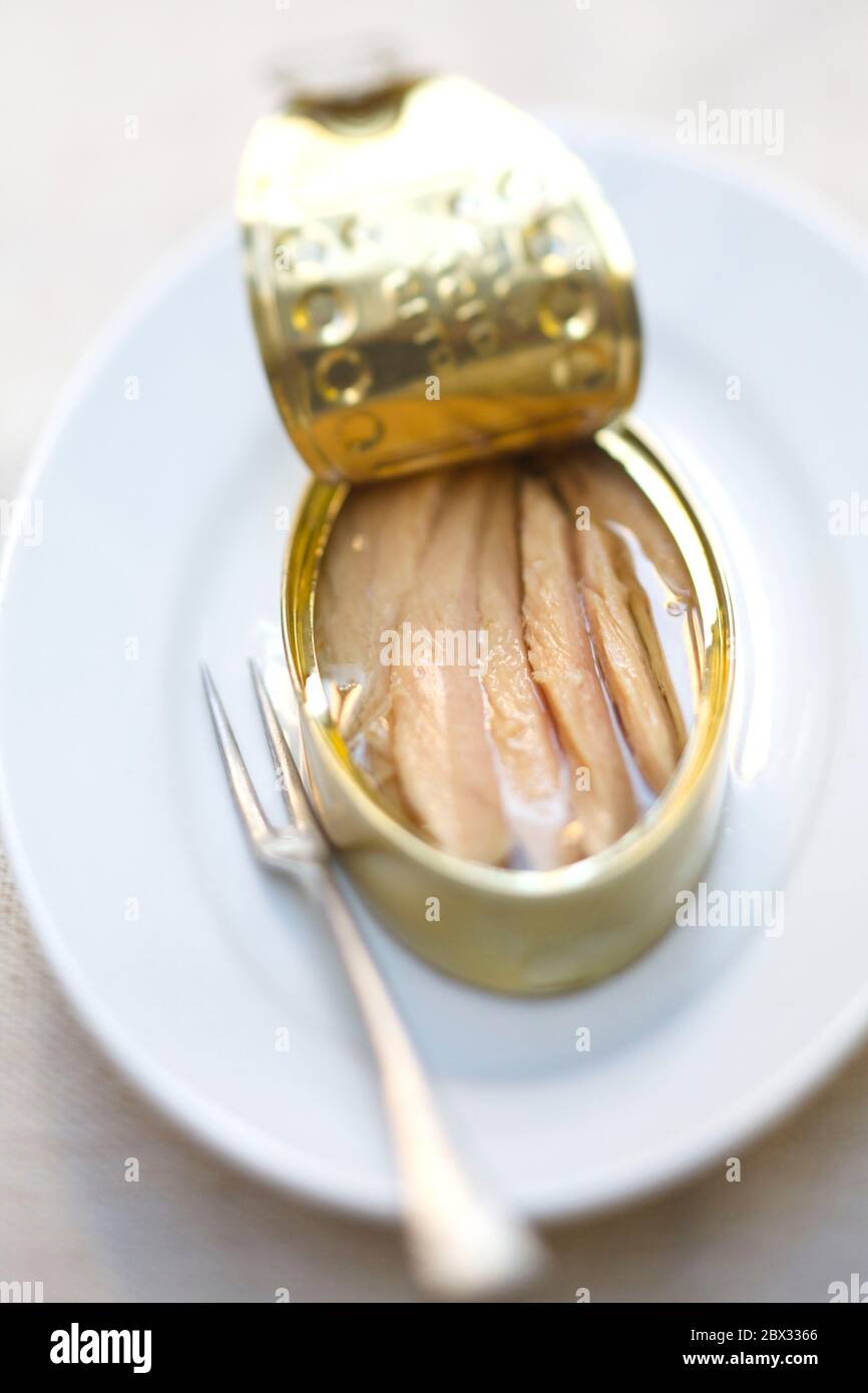 Spain, Galicia, canned Ramon Pena, tuna fillet in oil Stock Photo - Alamy