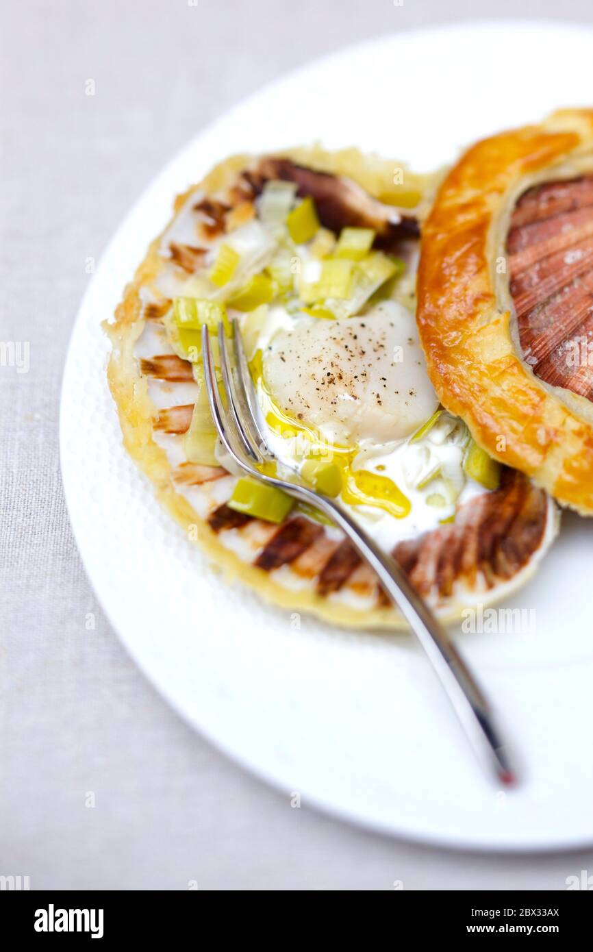 Scalloped casserole shell Stock Photo - Alamy