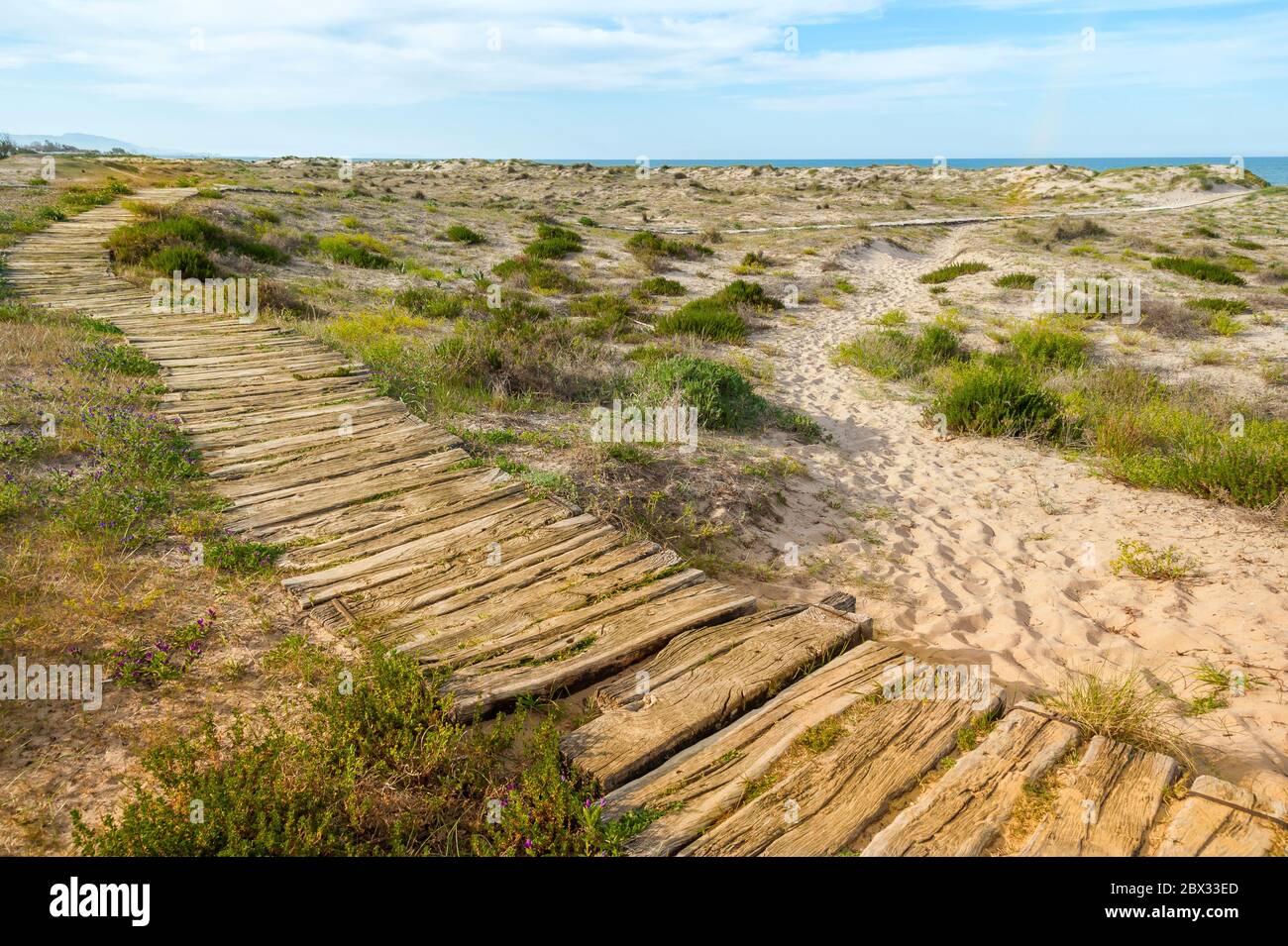 Wooden footpath in coastal sand dunes Stock Photo - Alamy