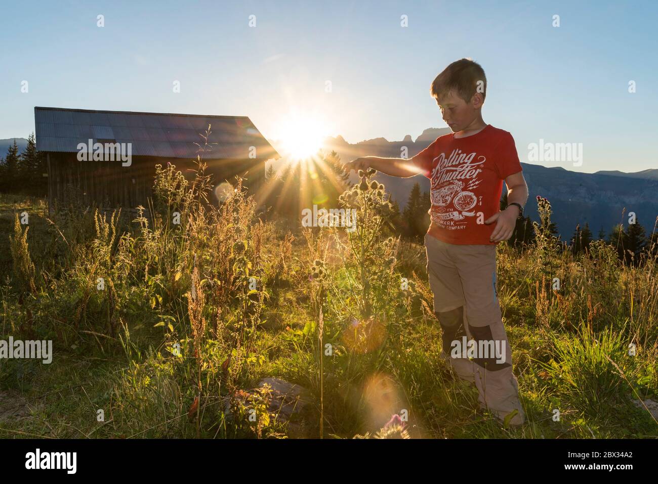 France, Haute-Savoie (74), Mont Blanc Massif, Passy, Lachat d'en Haut ...