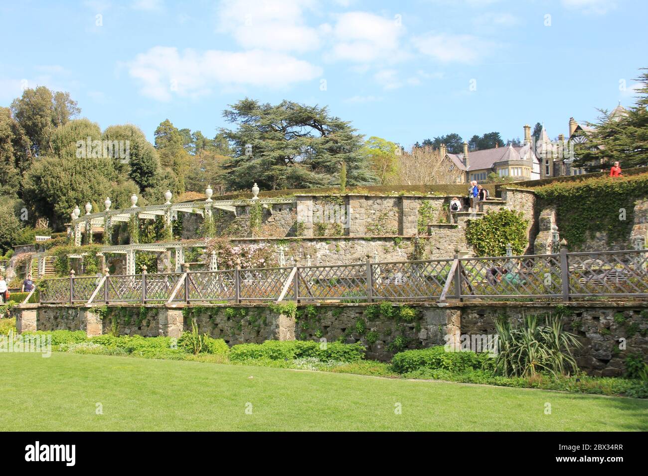 Bodnant Garden Magnolia High Resolution Stock Photography and Images ...