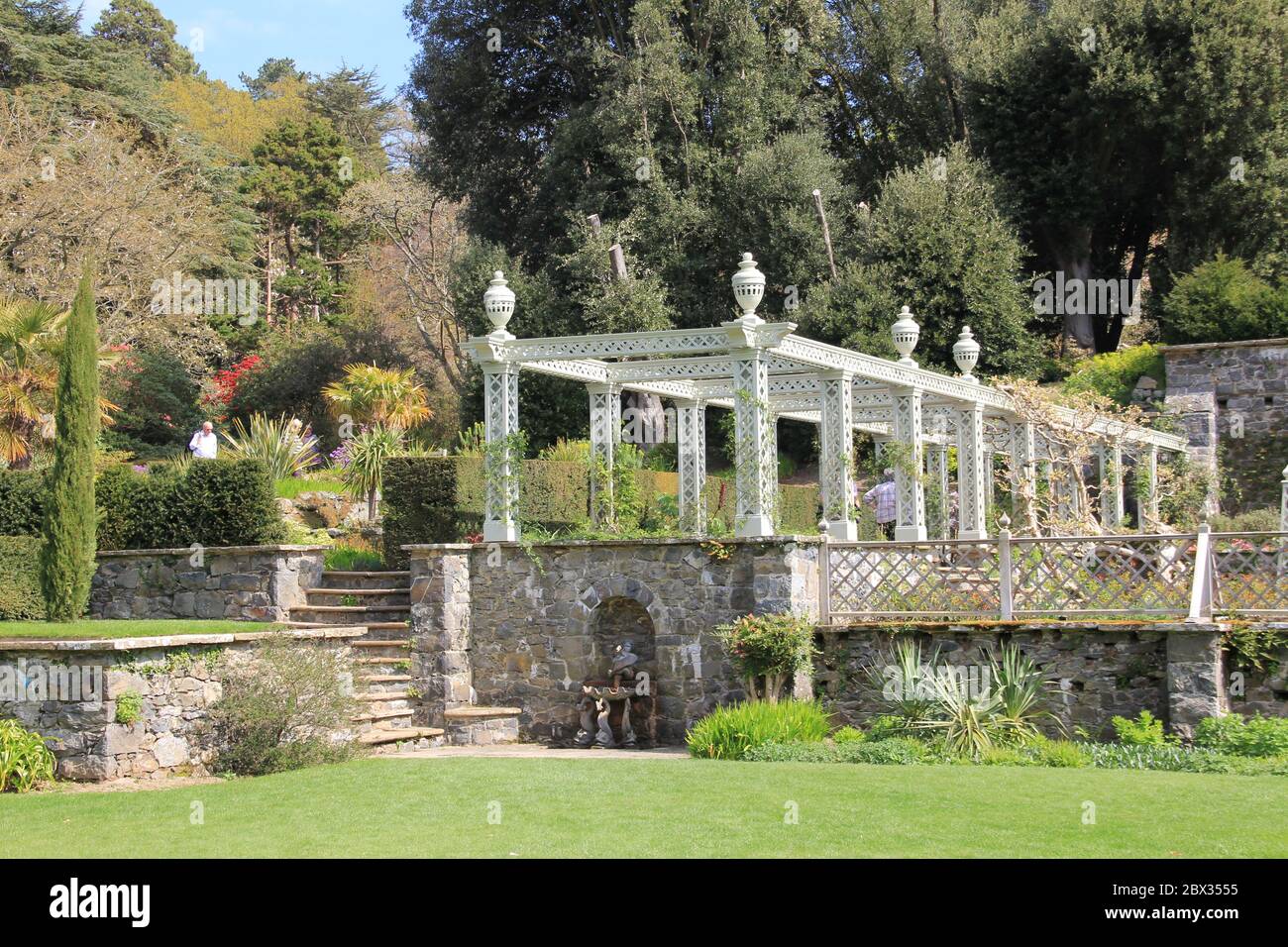 Bodnant Garden Magnolia High Resolution Stock Photography and Images ...