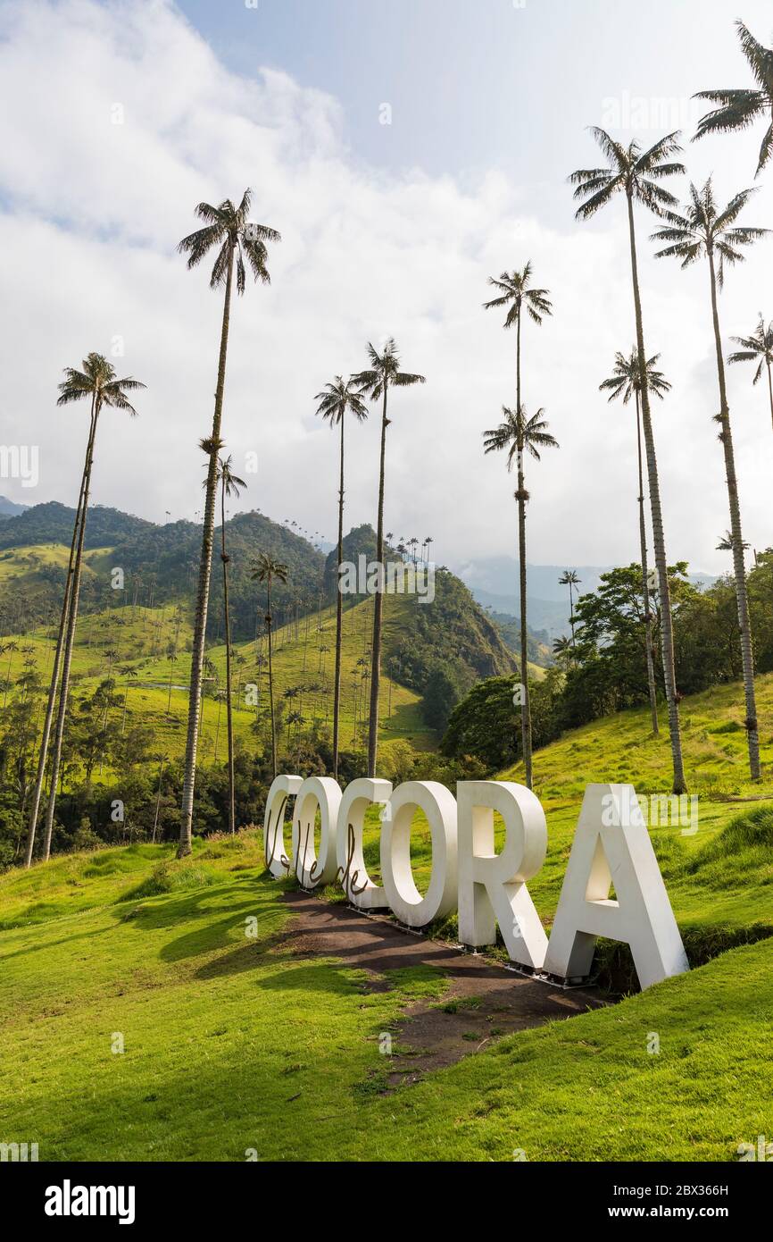Coffee cultural landscape of colombia hi-res stock photography and ...