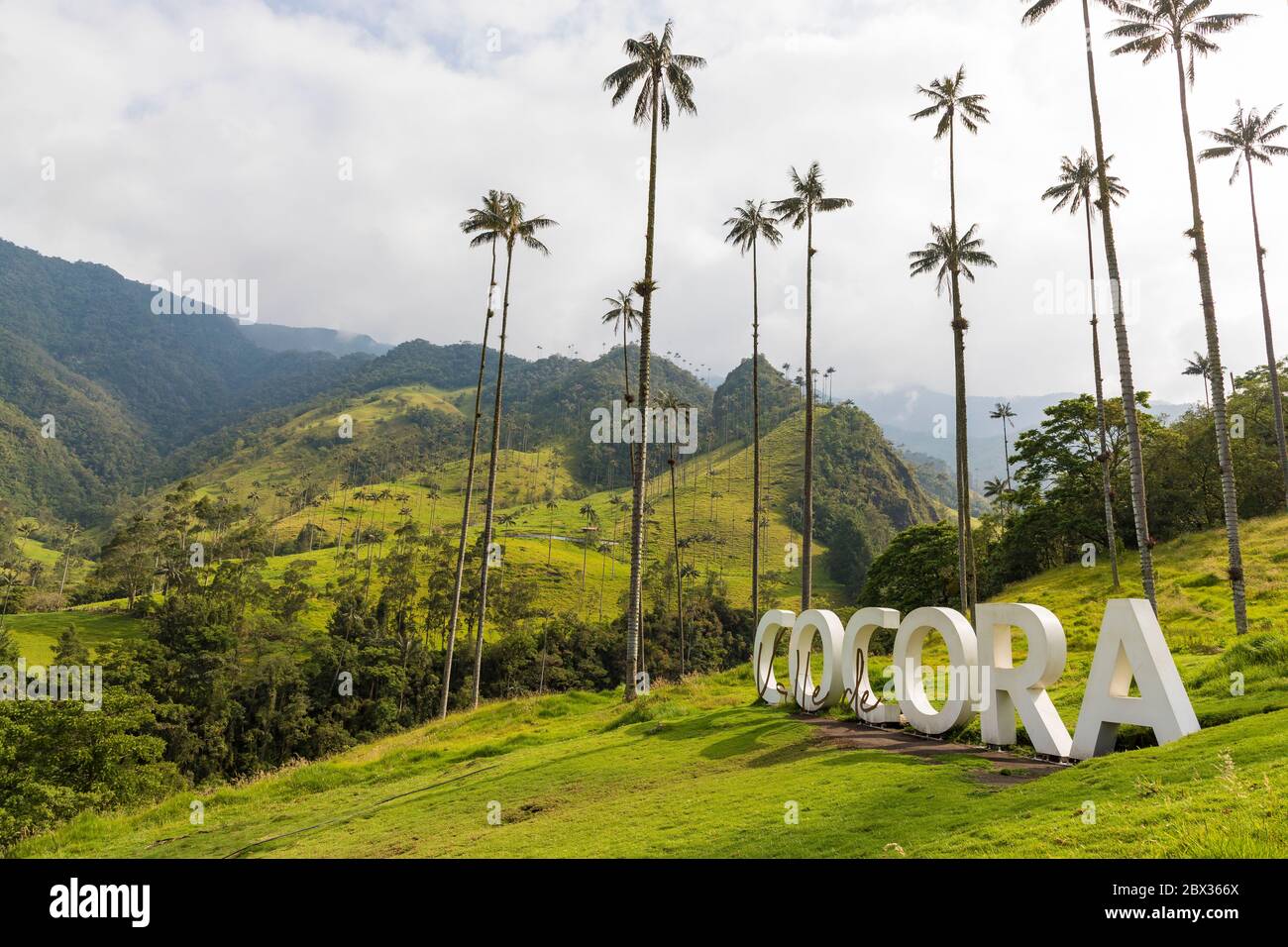 Coffee cultural landscape colombia hi-res stock photography and images ...