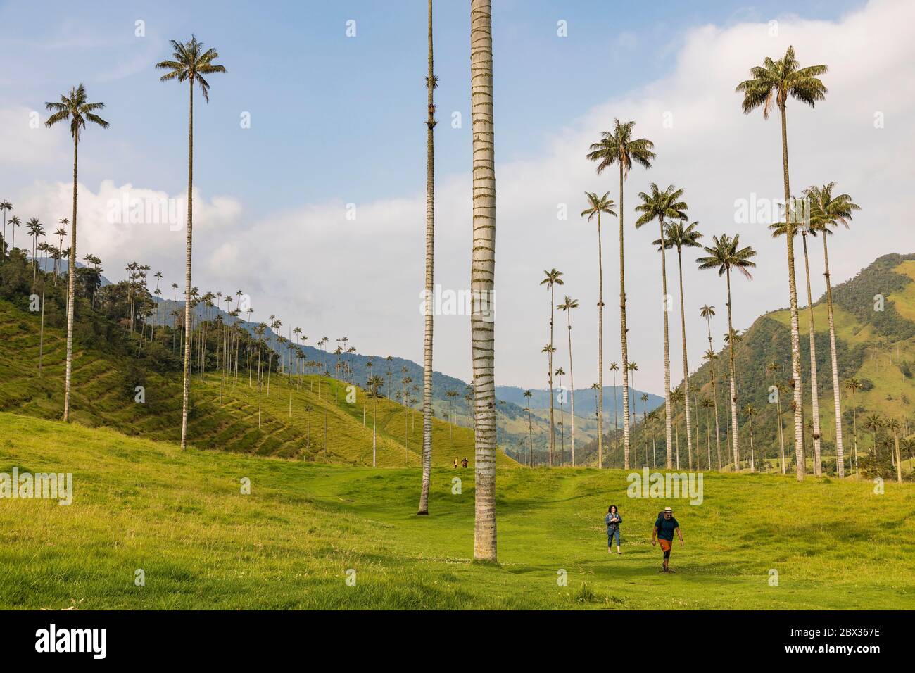 Cocora valley. hiking hi-res stock photography and images - Alamy