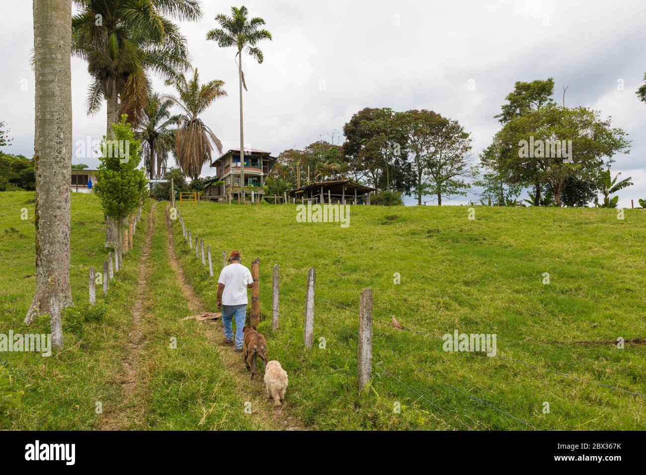 Columbia, Quindio Department, Filandia, cultural landscape of colombia ...