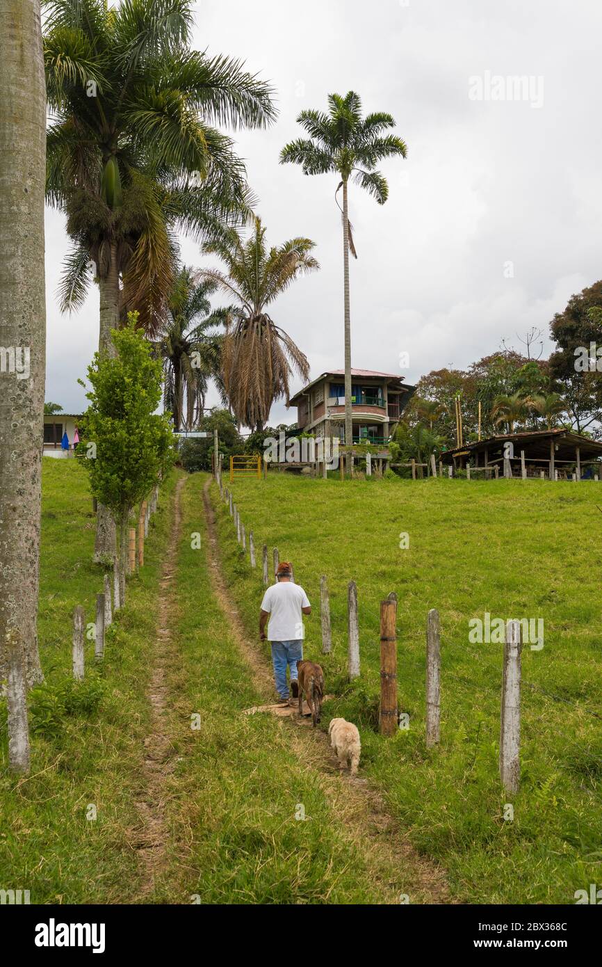 Sustainable building colombia hi-res stock photography and images - Alamy