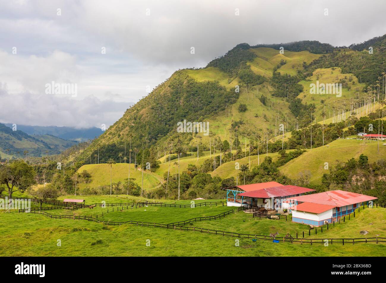 The national coffee park quindio hi-res stock photography and images ...