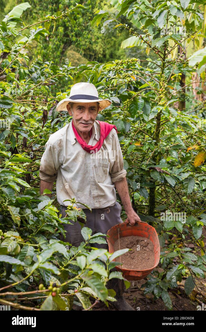 Columbia, Quindio Department, Salento, cultural landscape of colombia ...