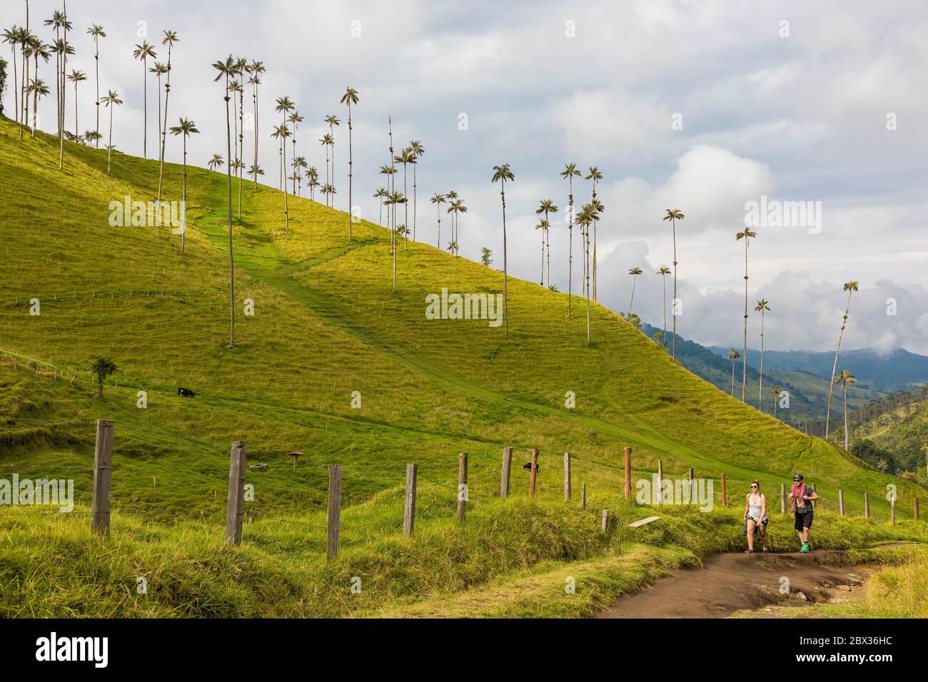 Cocora valley. hiking hi-res stock photography and images - Alamy