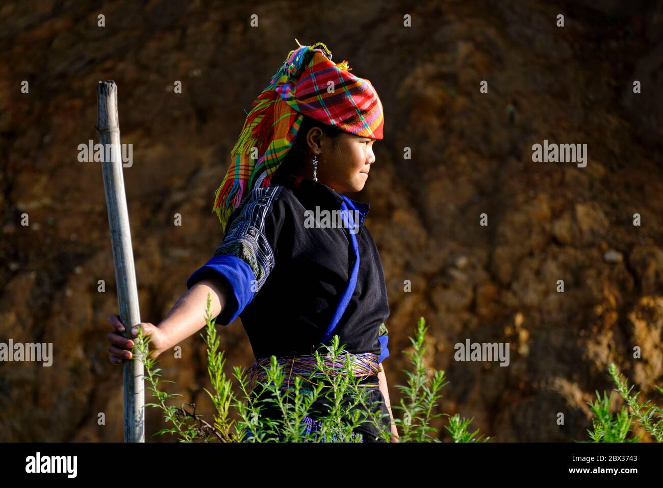 Vietnam, Yen Bai province, Mu Cang Chai, Hmong ethnic group woman in ...
